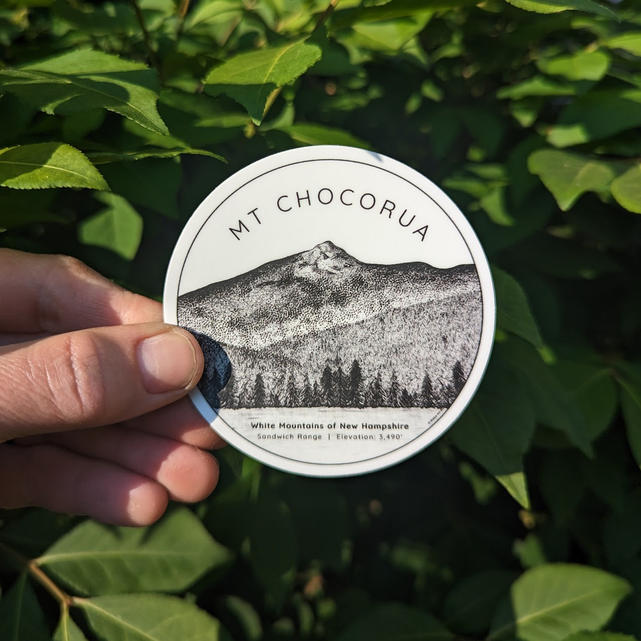 Chocorua Sticker – Sherpa Ant